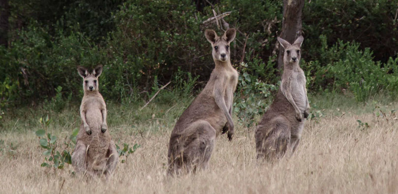 You Were Made For This | YWAM Newcastle | YWAM Newcastle